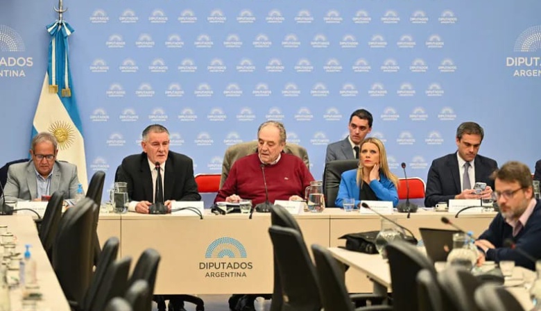 Diputados Analizará El Esquema De Promoción Industrial De Tierra Del