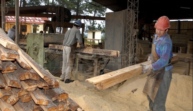 Presentarán iniciativas para mejorar la seguridad laboral en ...